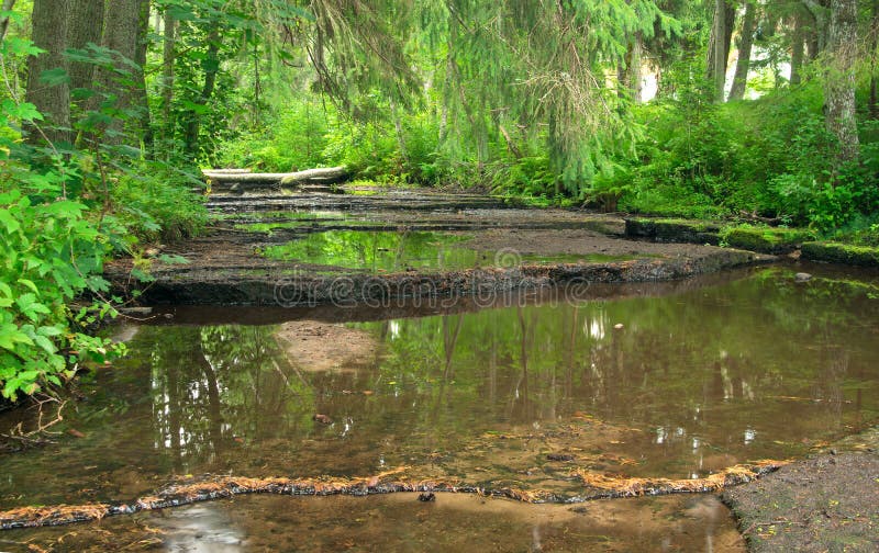 Low water level in river stock image. Image of level - 43703325
