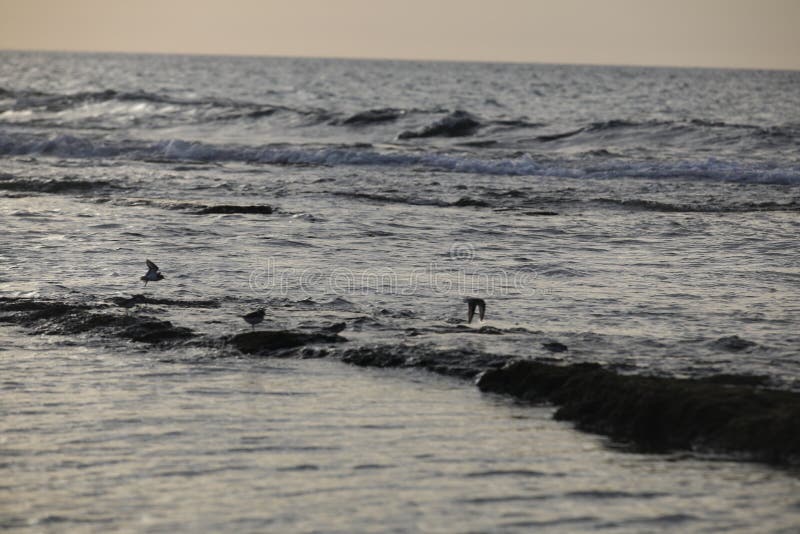 Low Waves on the Shore of a Beach High Quality Stock Photo - Image of ...