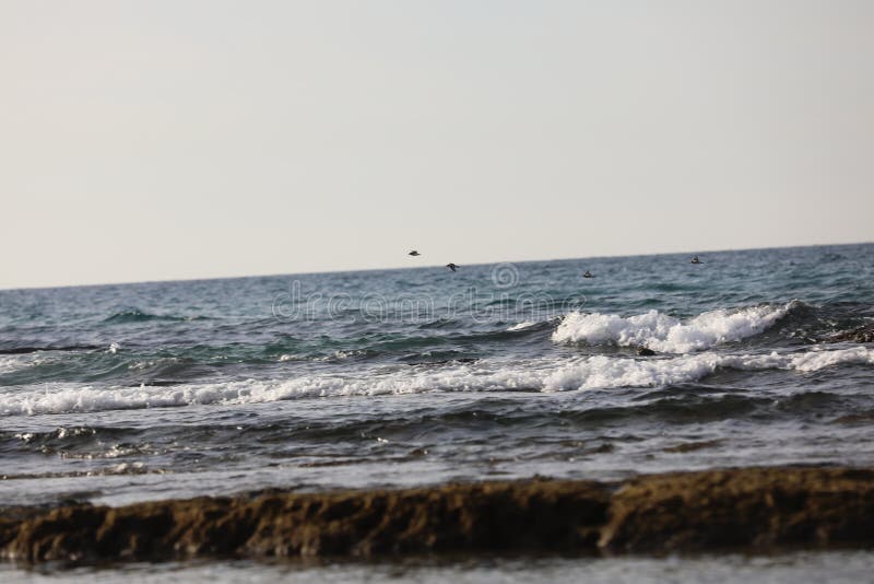Low Waves on the Shore of a Beach High Quality Stock Photo - Image of ...