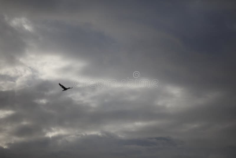 Low Waves on the Shore of a Beach High Quality Stock Image - Image of ...