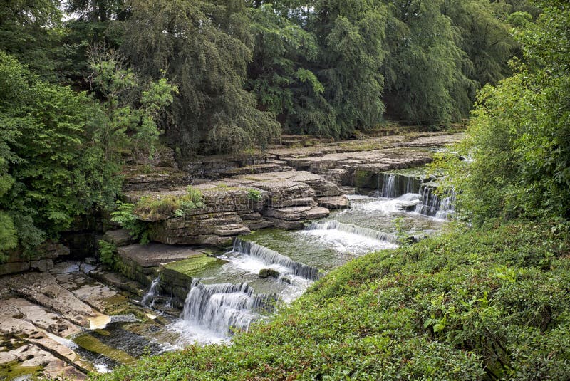 Lower Aysgarth Falls in North Yorkshire Stock Photo - Image of woodland ...