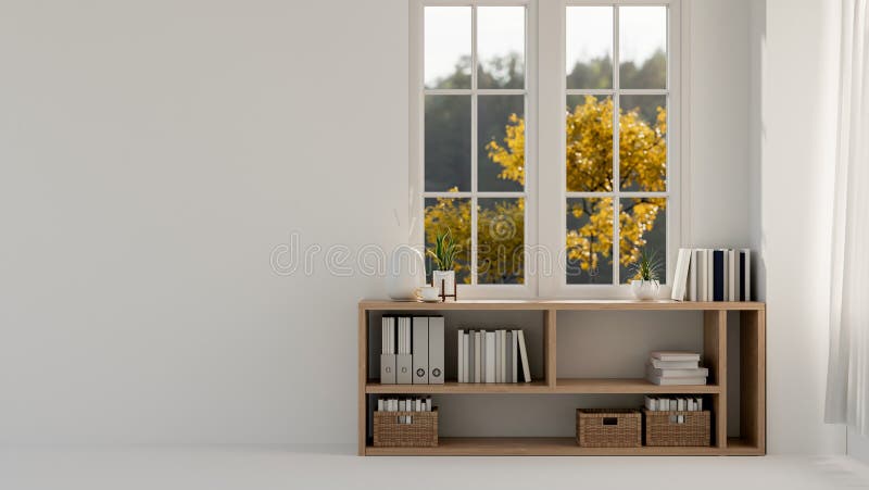 A Lower Bookcase Against the Window and an Empty Space on a White Wall ...