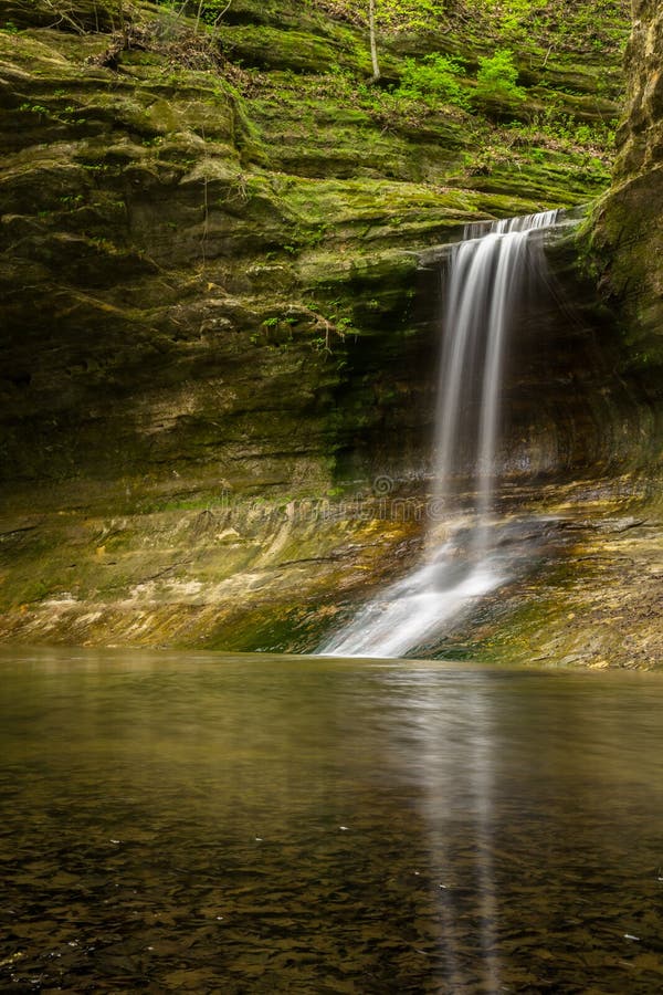 The Lower Dells. stock photo. Image of flow, dells, green - 53685422