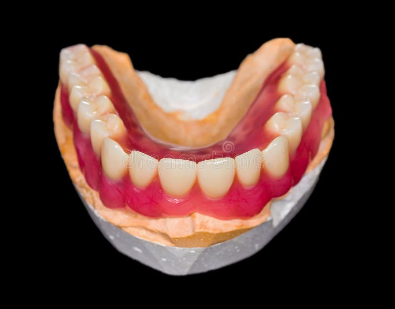 Lower denture stock photo. Image of gums, hygiene, healthcare - 44645544