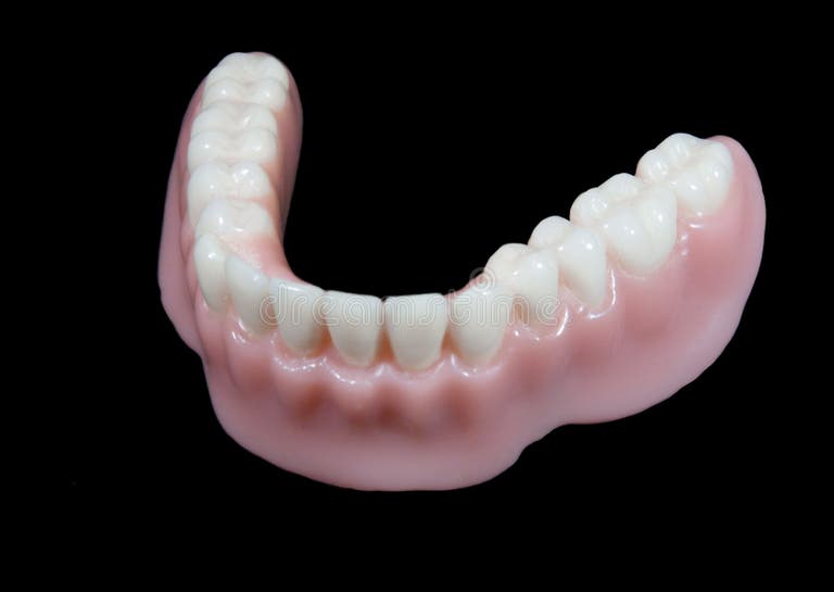 Lower denture teeth stock photo. Image of teeth, white - 7559840