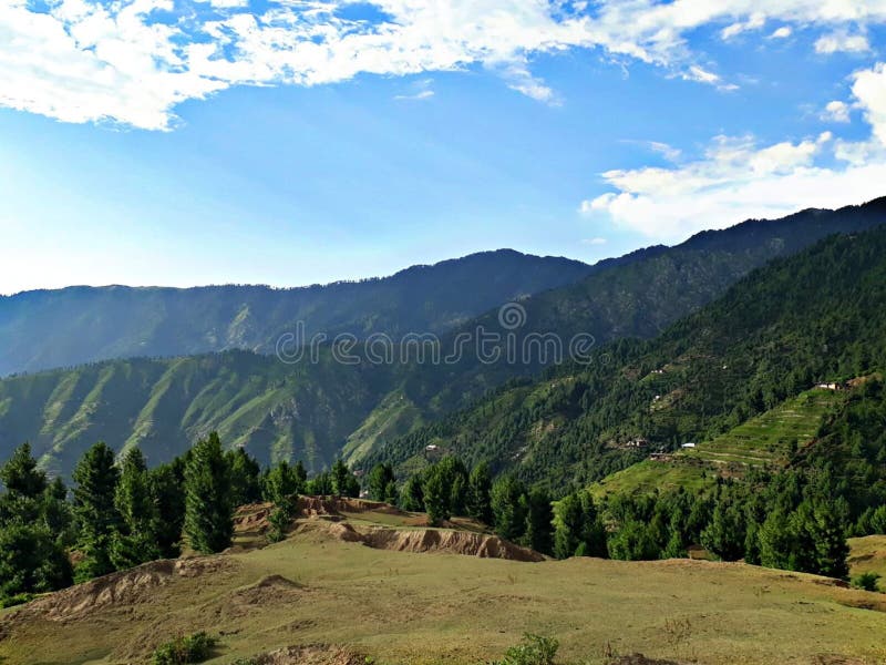 Lower Dir Forest Large is Large Stock Photo - Image of lower, large ...