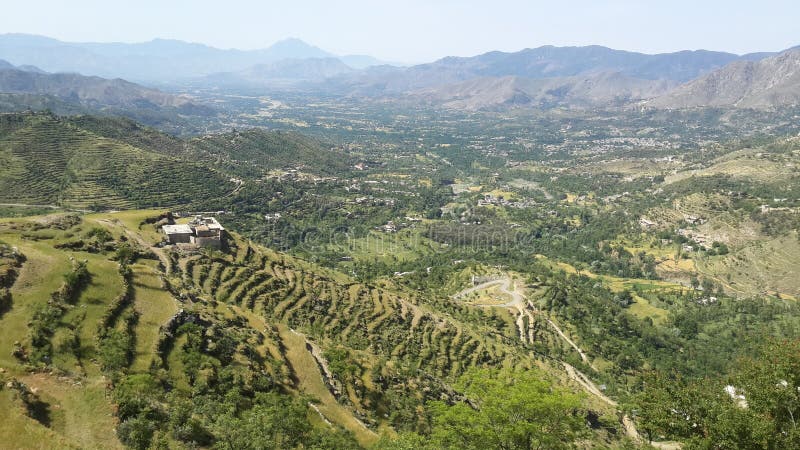 Lower Dir Pics Sample Forest Stock Photo - Image of sample, forest ...