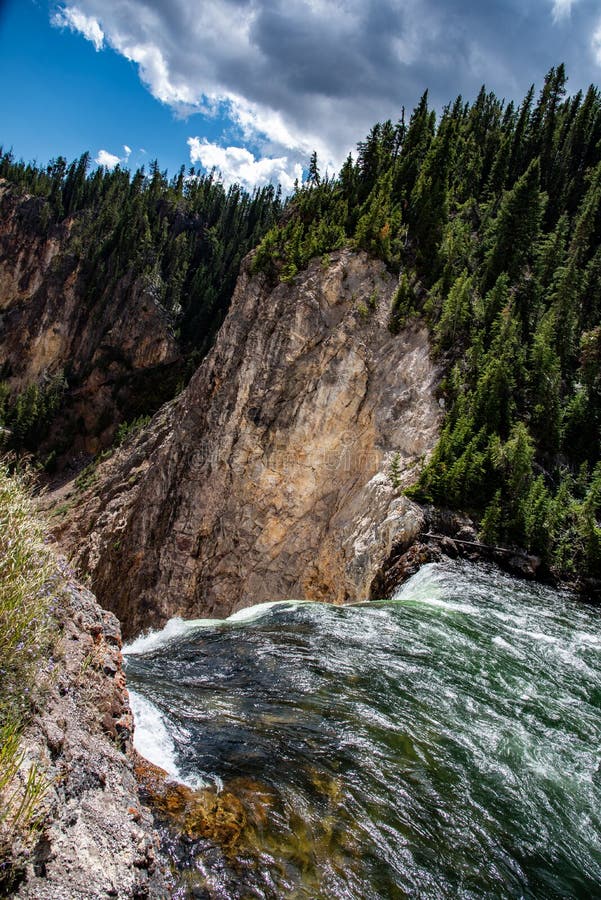 Lower Fall at the Grand Canyon of Yellowstone Stock Photo - Image of ...