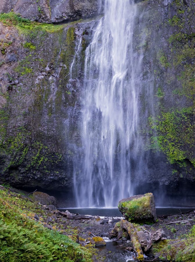 Lower Fall of the Multnomah Falls on the Columbia River Stock Photo ...