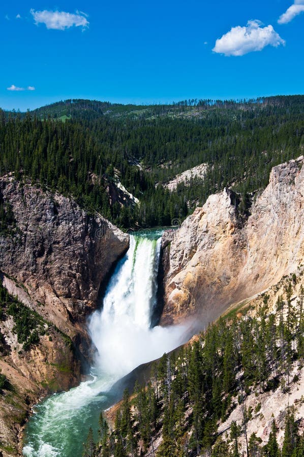Lower Falls Yellowstone National Park Stock Photo - Image of forces ...
