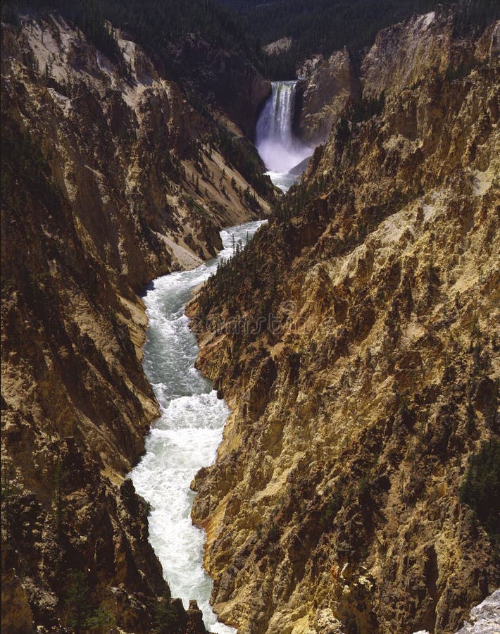 Lower Falls stock image. Image of yellowstone, plants - 28403307