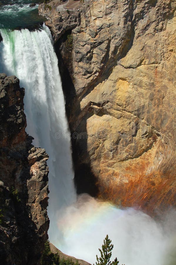 Yellowstone Lower Falls stock photo. Image of nature - 34546226