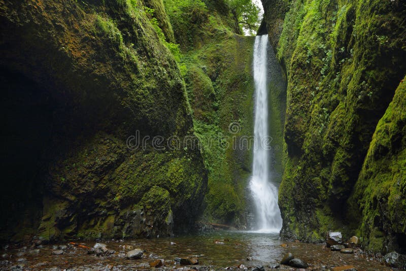 The Lush And Green Lower Oneonta Falls Stock Photo - Image of ...