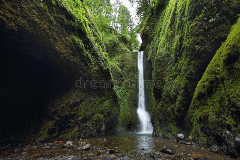 Lower Oneonta Falls in Columbia River Gorge, Oregon Stock Image - Image ...