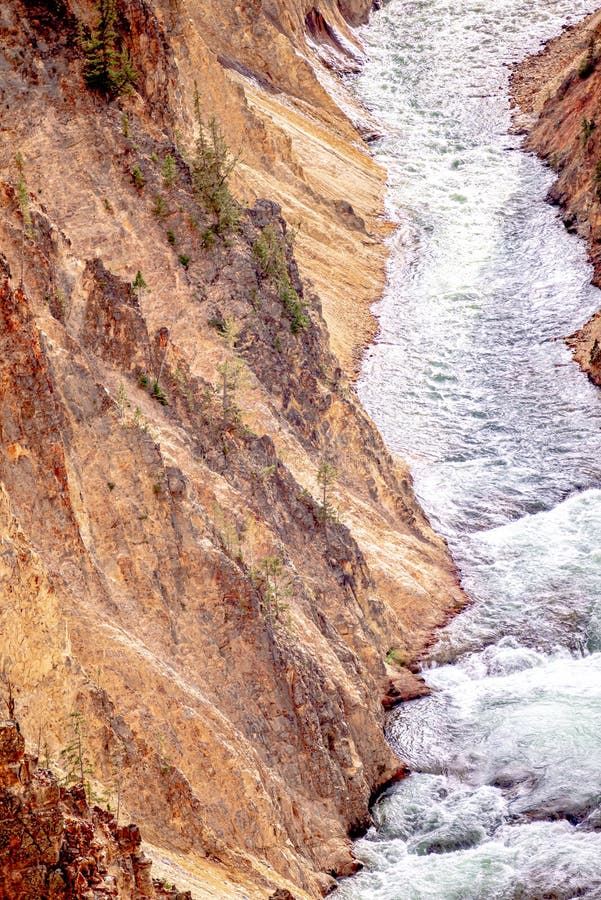 Lower Falls of the Yellowstone from Artist Point Stock Photo - Image of ...