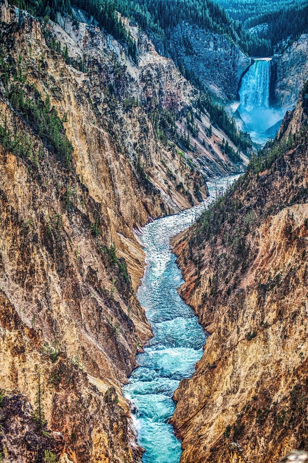 Lower Falls of the Yellowstone from Artist Point Stock Image - Image of ...