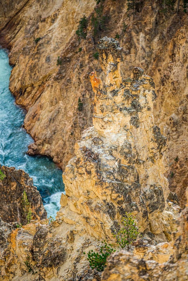 Lower Falls of the Yellowstone from Artist Point Stock Image - Image of ...