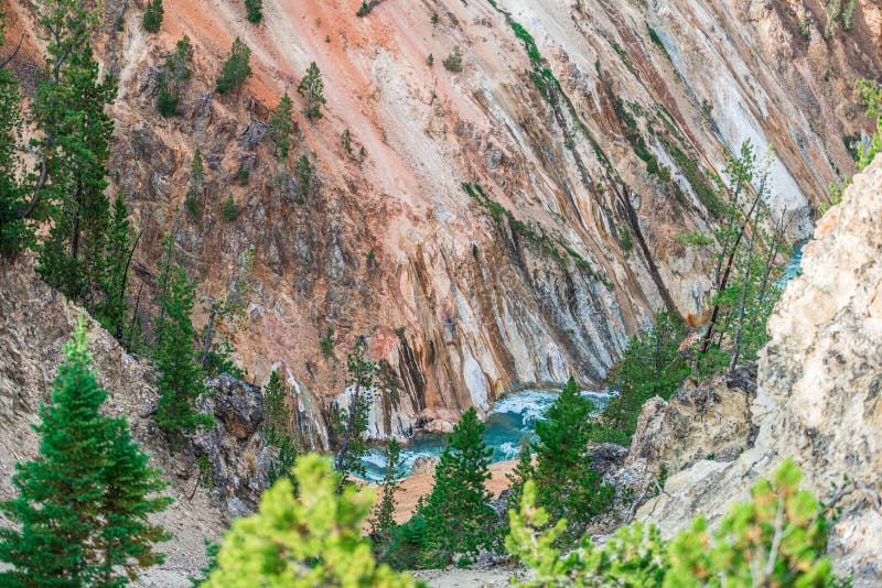 Lower Falls of the Yellowstone from Artist Point Stock Photo - Image of ...