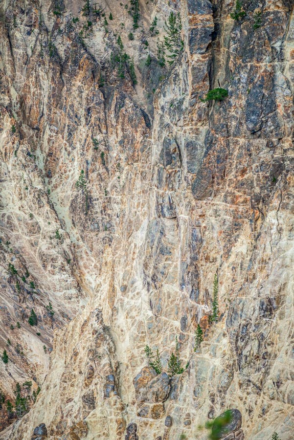 Lower Falls of the Yellowstone from Artist Point Stock Photo - Image of ...