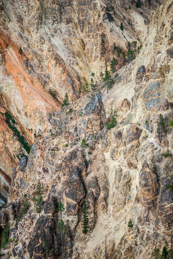 Lower Falls of the Yellowstone from Artist Point Stock Photo - Image of ...