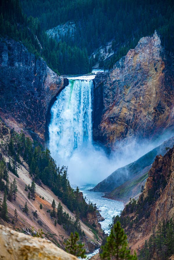 Lower Falls of the Yellowstone from Artist Point Stock Image - Image of ...