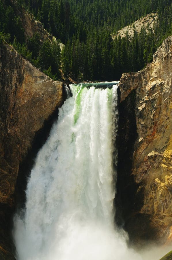 Lower Falls Yellowstone National Park Stock Image - Image of national ...