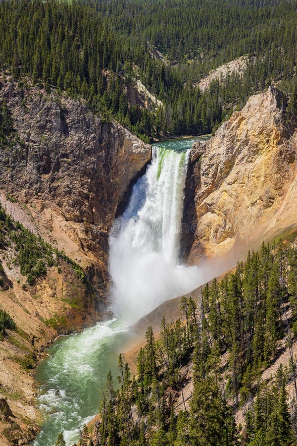 Lower Falls of the Yellowstone in Yellowstone National Park Stock Image ...