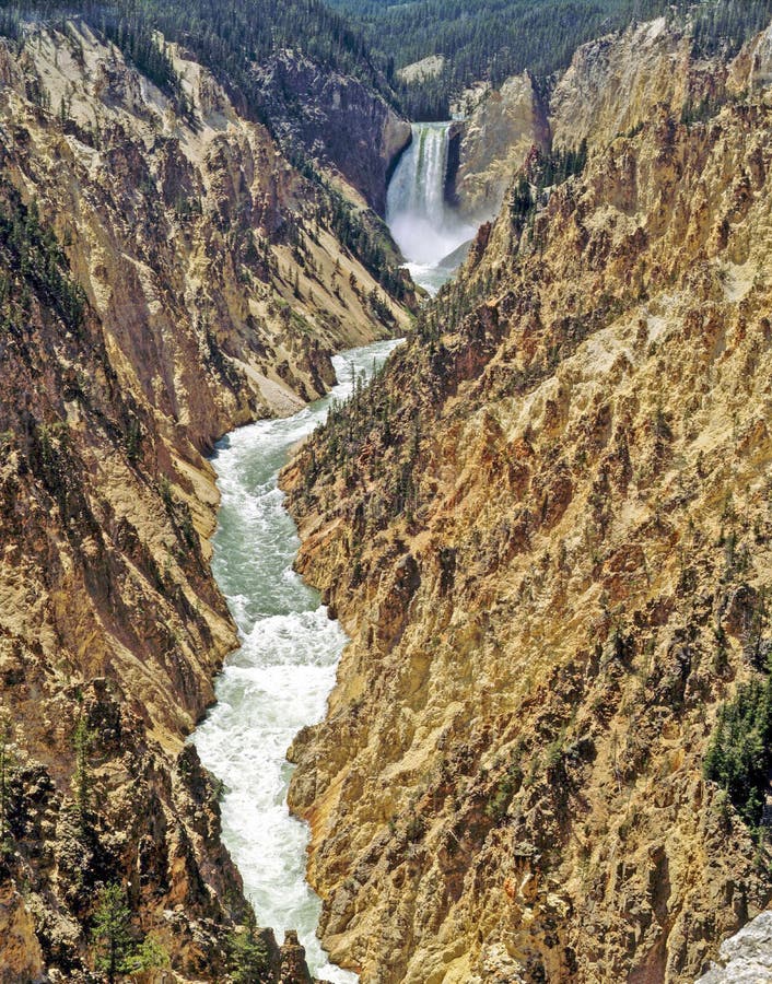 Lower Falls in Yellowstone National Park Stock Photo - Image of national, park: 257795650