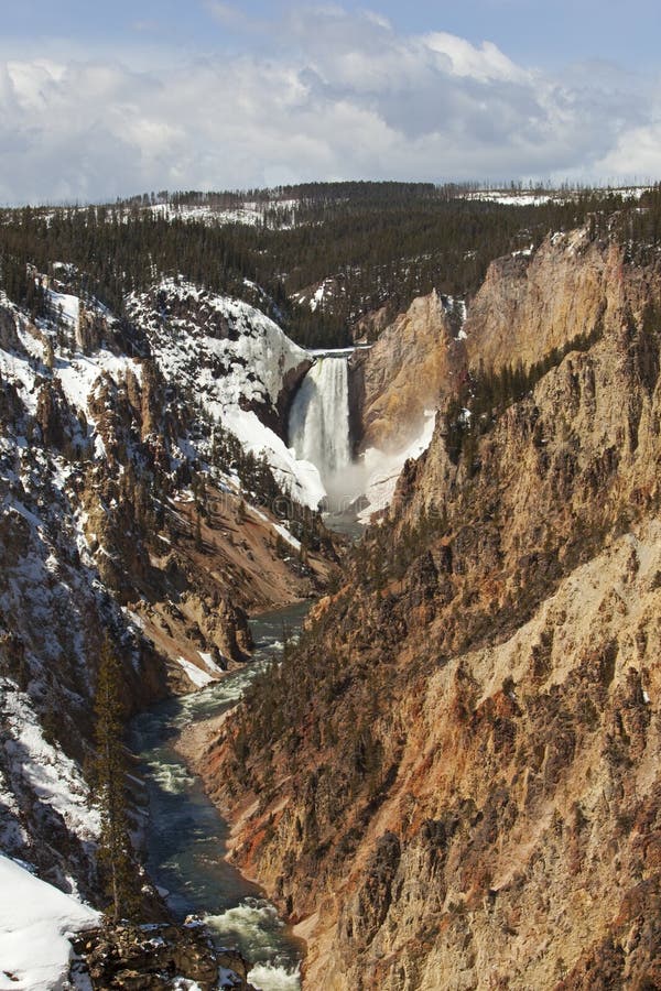 Lower Falls Yellowstone Park River Grand Canyon Monument Stock Image ...