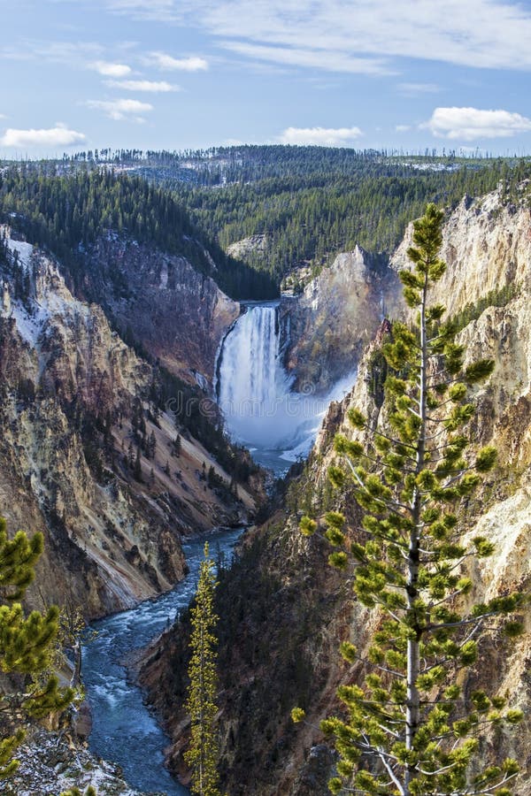 Lower Falls Yellowstone Park River Grand Canyon Monument Stock Image ...