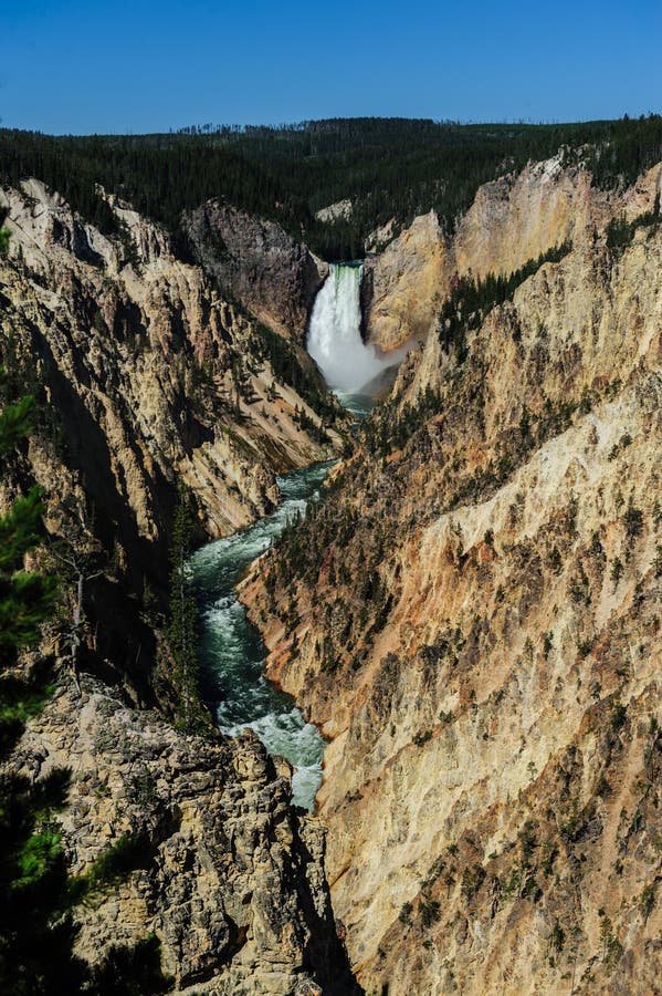 Lower Falls of the Yellowstone Stock Photo - Image of fall, park: 99659744