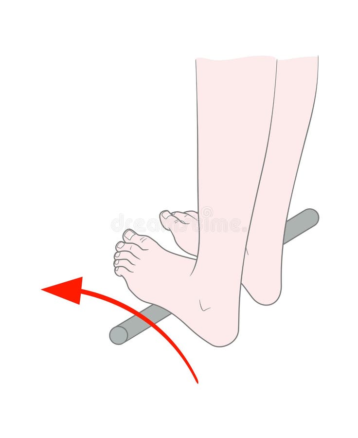 Lower Half of the Woman`s Body in an Exercise Pose for the Development ...