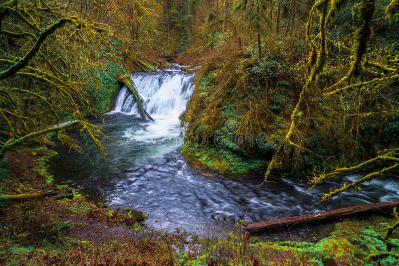 Lower North Falls at Silver Falls State Park Stock Photo - Image of ...
