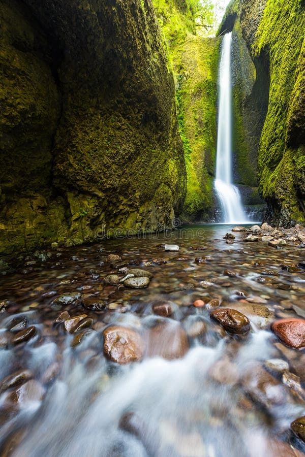 Lower Oneonta Falls in Summer, Columbia River Gorge, Oregon. Stock ...