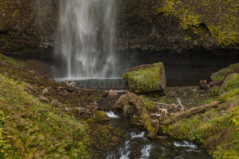 Multnomah Waterfall with Lush Green Foliage Stock Photo - Image of face ...