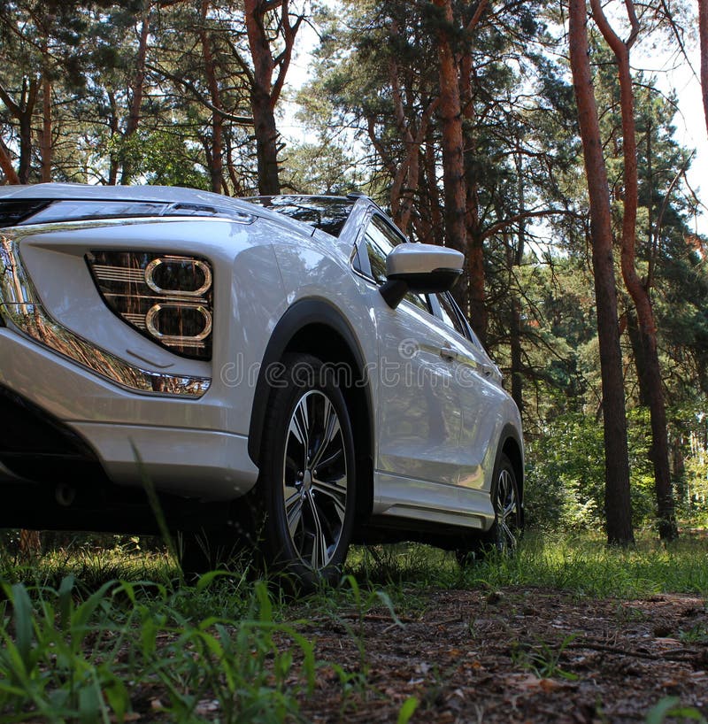 White SUV on Clearing with Tall Pine Trees Around Stock Photo - Image ...