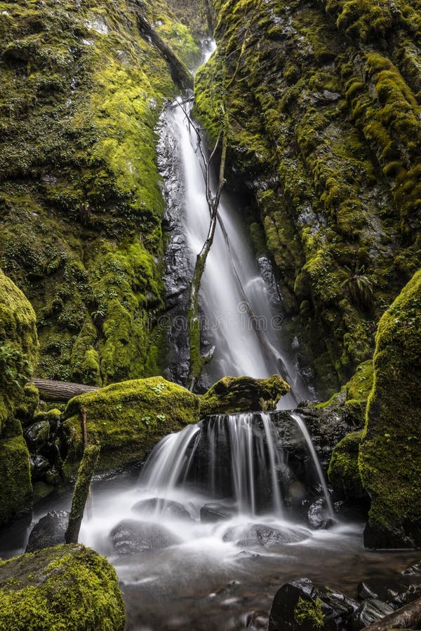 Lower Soda Creek Waterfall in Oregon Stock Photo - Image of pacific ...
