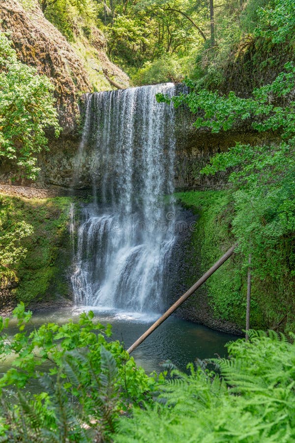 Lower South Falls Scene 4 stock photo. Image of hiking - 280330038
