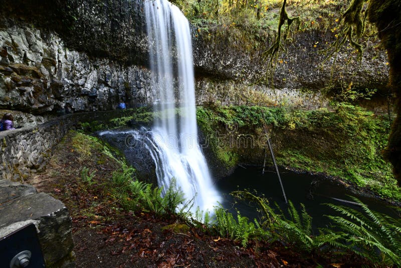 Lower South Falls in the Silver Falls State Park, Oregon, USA Stock ...
