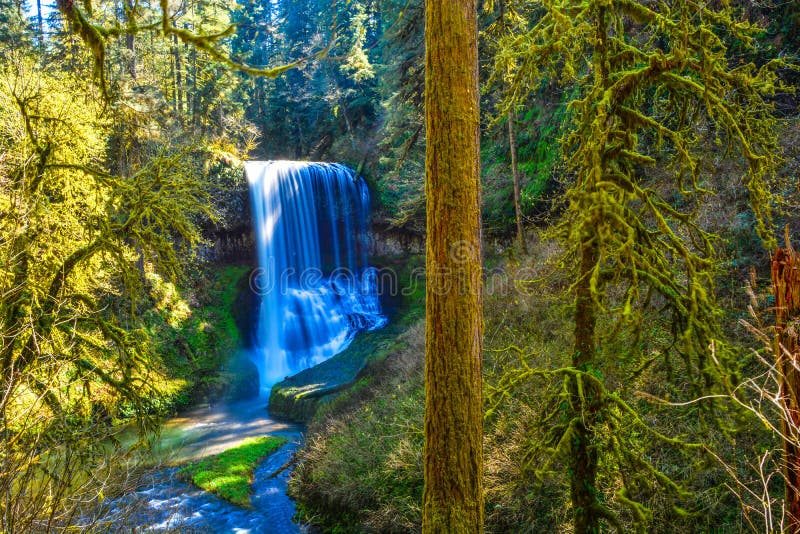 Lower South Falls in a Spectacular State Park in Oregon Stock Image ...