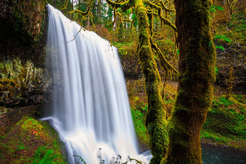 Lower South Falls Views at Silver Falls State Park Stock Photo - Image ...