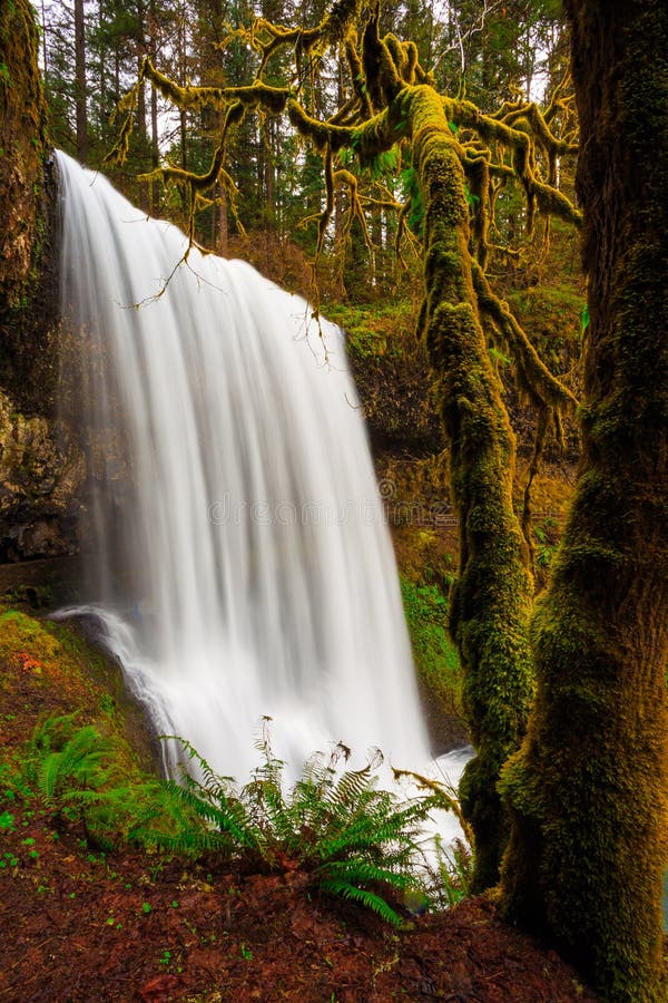 Lower South Falls Views at Silver Falls State Park Stock Image - Image ...