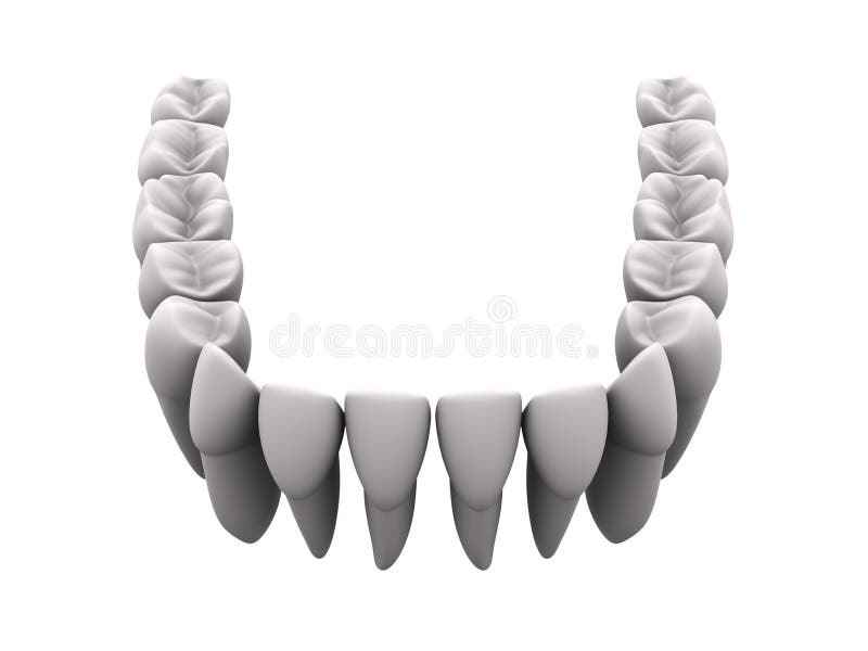 3d Lower Teeth and Dental Implant Isolated Stock Illustration ...