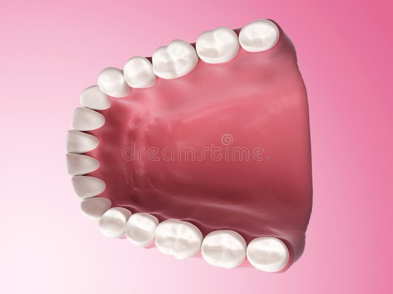Lower teeth stock illustration. Illustration of background - 30723373