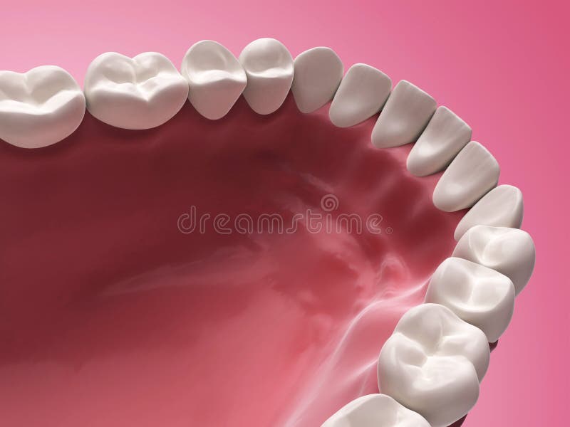 Human teeth illustration stock vector. Illustration of care - 36726422