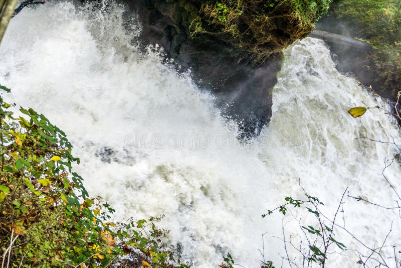 Tumwater Falls Park Whitewater 4 Stock Photo - Image of cascade ...
