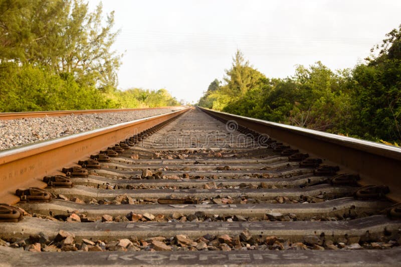 Ground view railroad stock photo. Image of background - 110691782