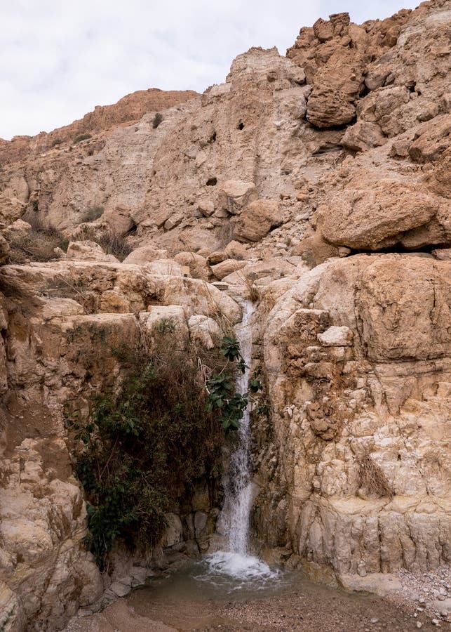 Lower Waterfall at David`s Spring Stock Image - Image of valley ...