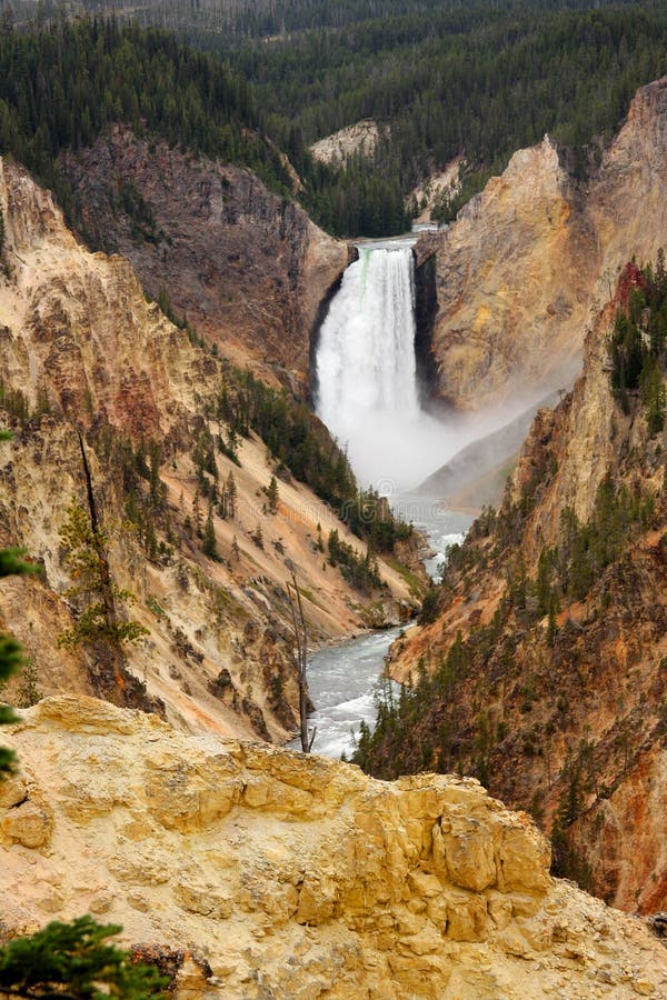 Lower Yellowstone Falls stock image. Image of national - 8203591