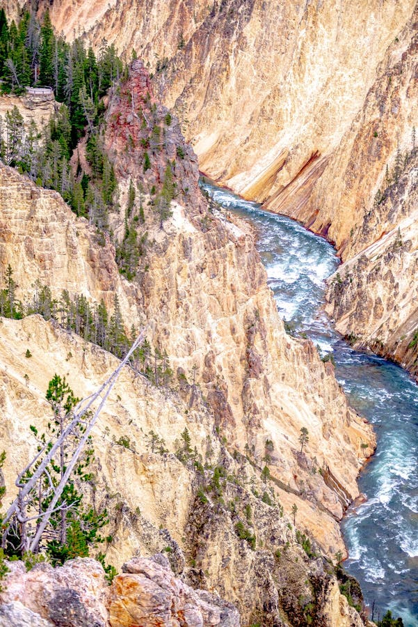 Lower Yellowstone Falls in the Yellowstone National Park Stock Image ...